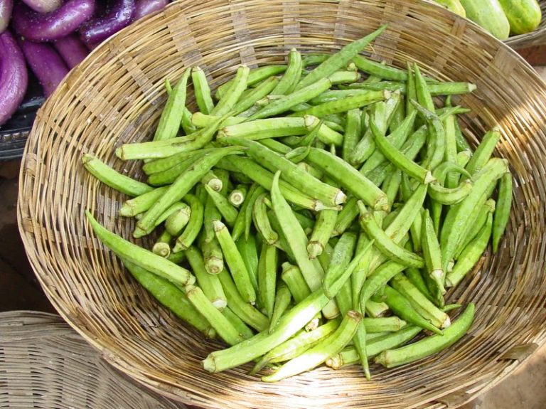 Okra - World Crops Database