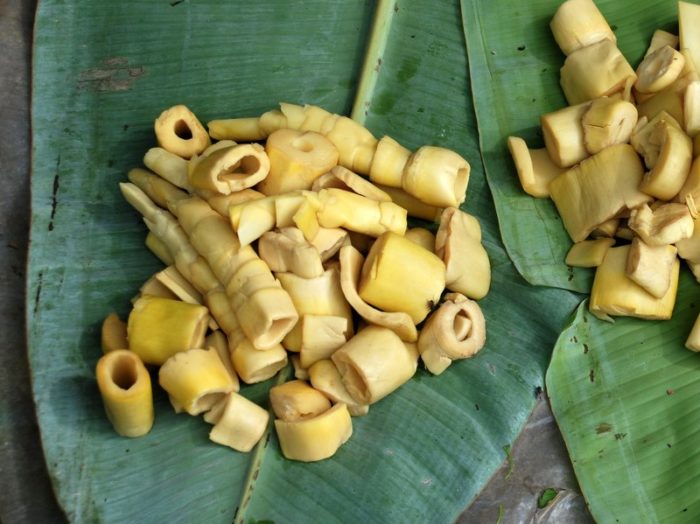 Bamboo - World Crops Database