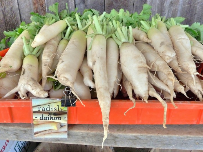 Daikon - World Crops Database