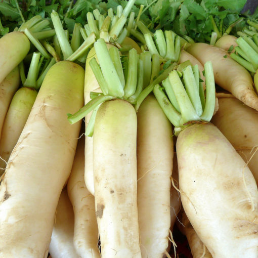 Nutmeg - World Crops Database