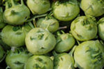 Vegetables - World Crops Database