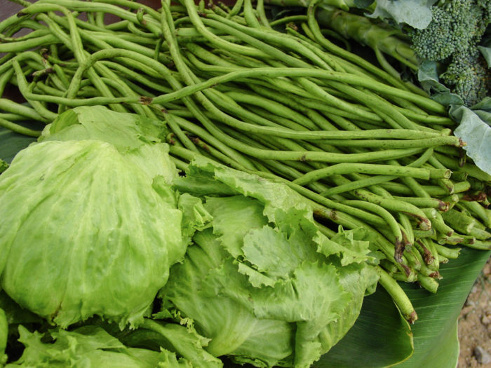 Vegetables - World Crops Database