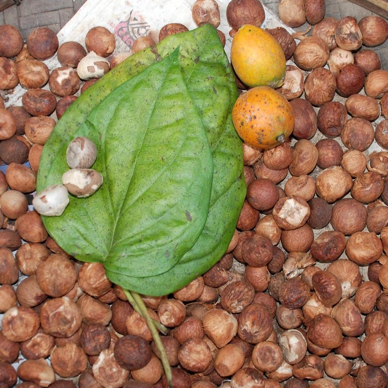 Betel Nuts And Betel Leaves World Crops Database
